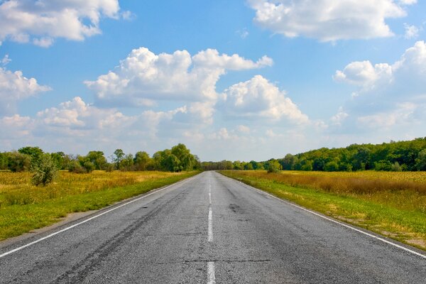 Pusta droga trawa natura Okleina na ścianę Pusta droga trawa natura ...